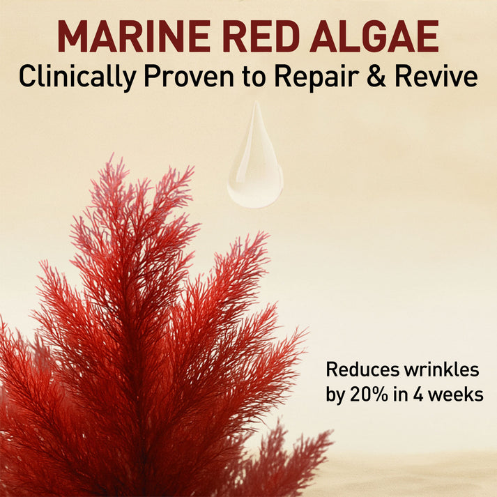 Skin Repair Serum (Red Algae) – W2 | Why Wait